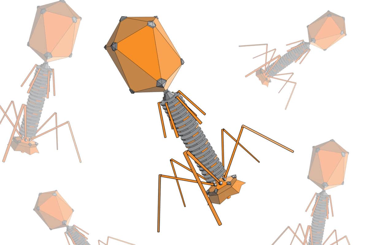 Phage-based diagnostics - PBD Biotech